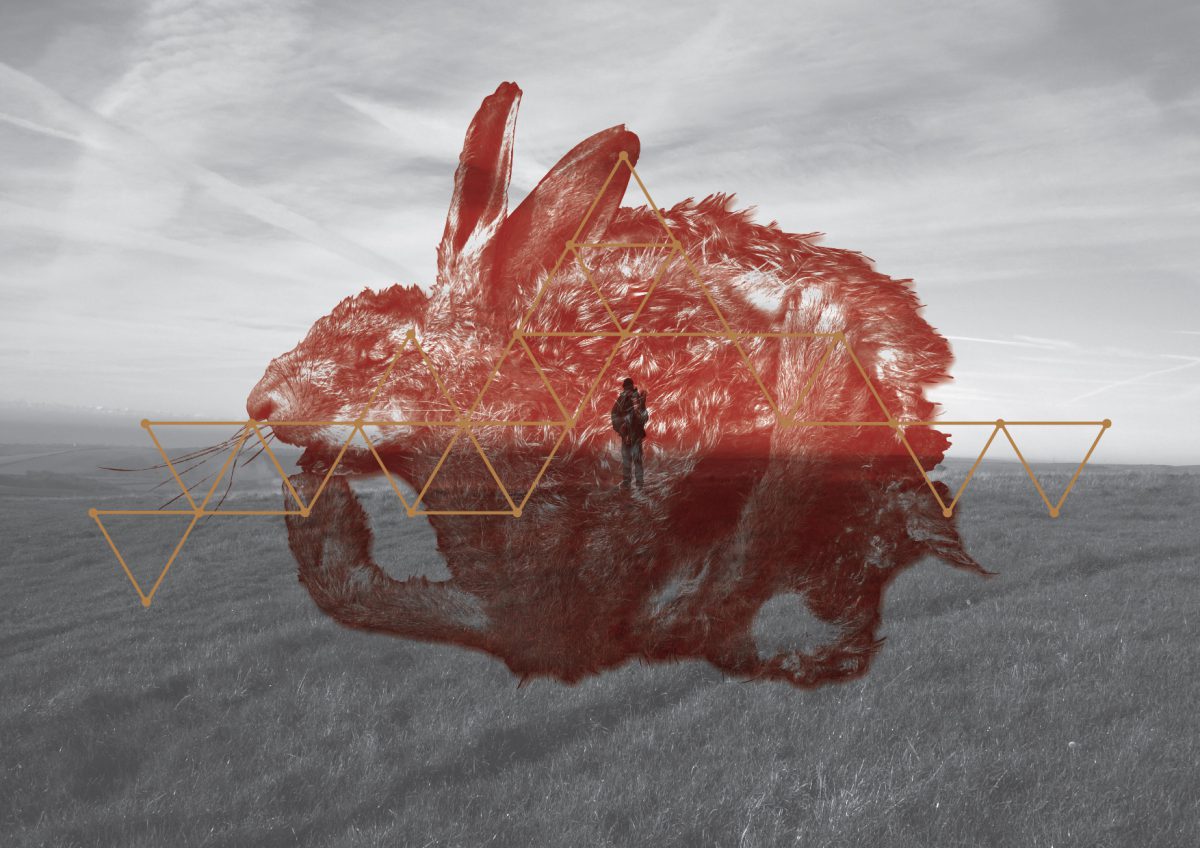 #2: The Entangled Way - DOTE Magazine